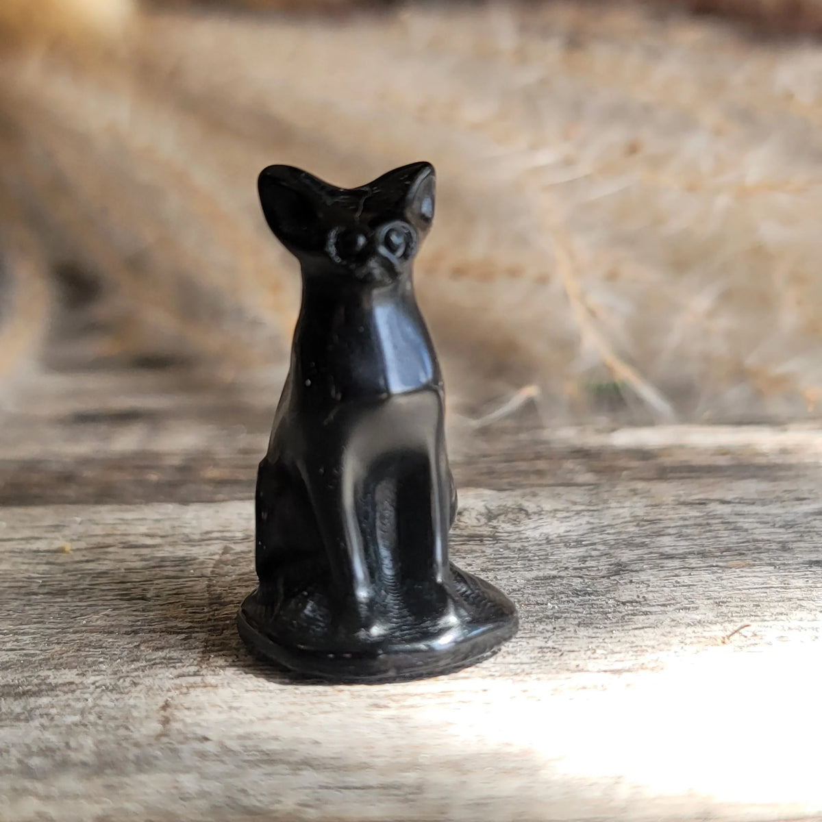 Obsidian Cat | Stealth, Protection & Shadow Work – Wild Raven's Nest